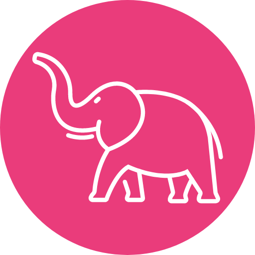 Long Division Box Method Jumping Elephant Math